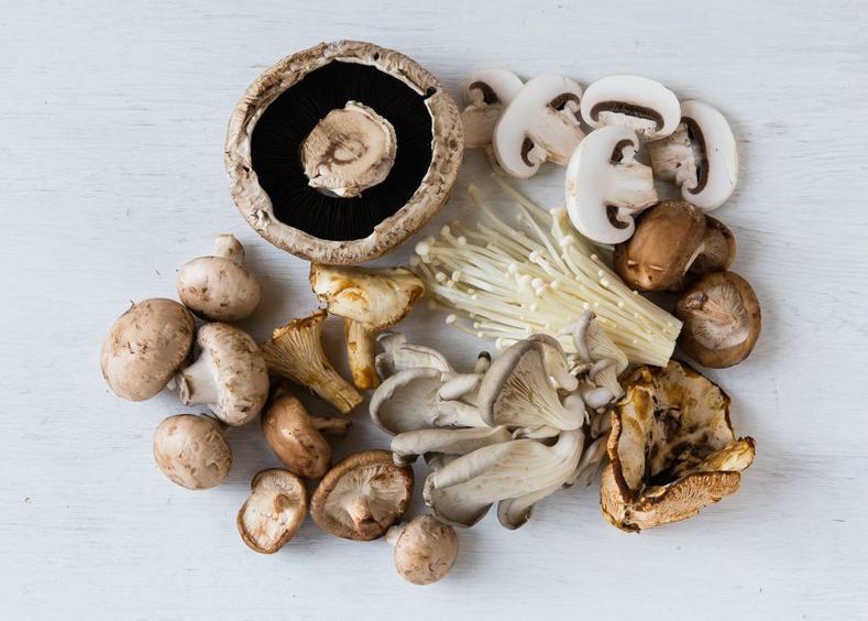 Trending: πολυμορφικά... μανιτάρια