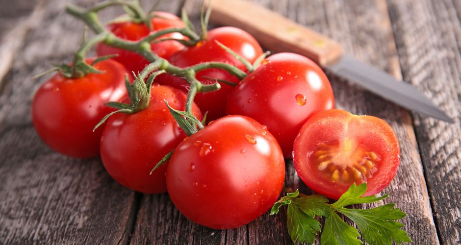 Plant your own tomatoes!